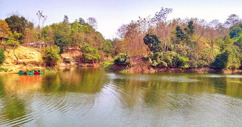 নাইক্ষ্যংছড়ি উপবন পর্যটন লেক » আদার ব্যাপারী