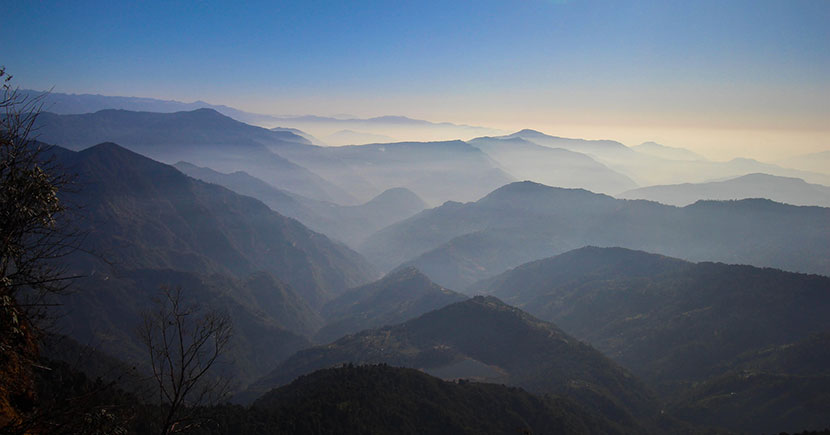 বাজরে দারা ট্রেক » আদার ব্যাপারী