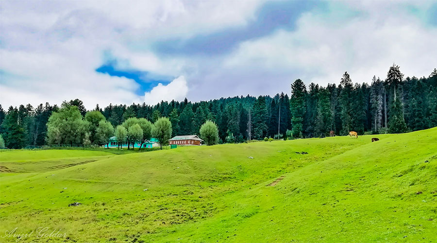 ইউসমার্গ, জম্মু-কাশ্মীর, ভারত » আদার ব্যাপারী